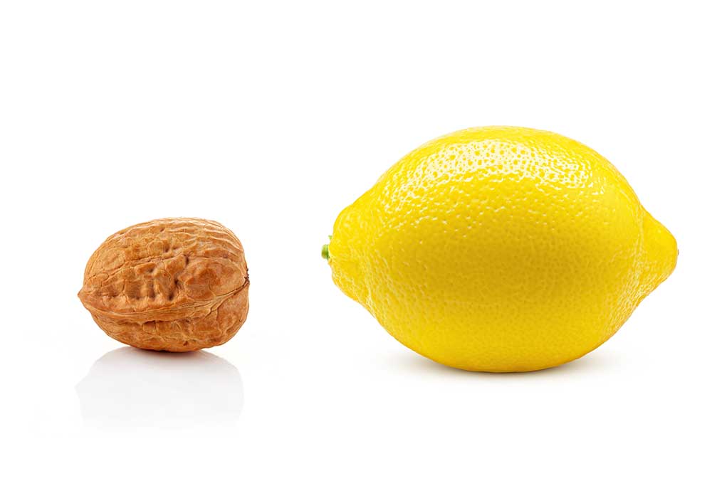 Prostate Cancer Basics | PHENPath.com - Prostate Health Education Network